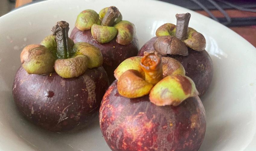 After eating mangosteen for 20 years, I realized that this is the ...