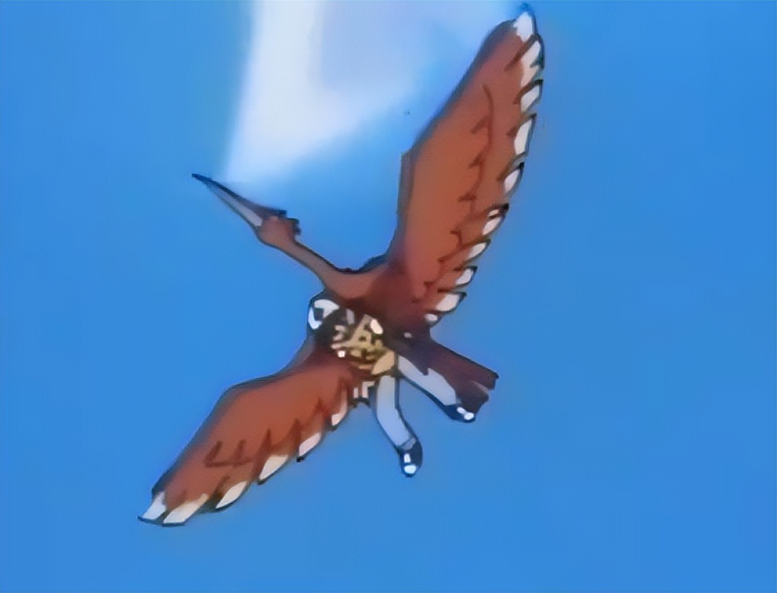 "Pokémon" is a common flying attribute of the family bird. In fact, the ...