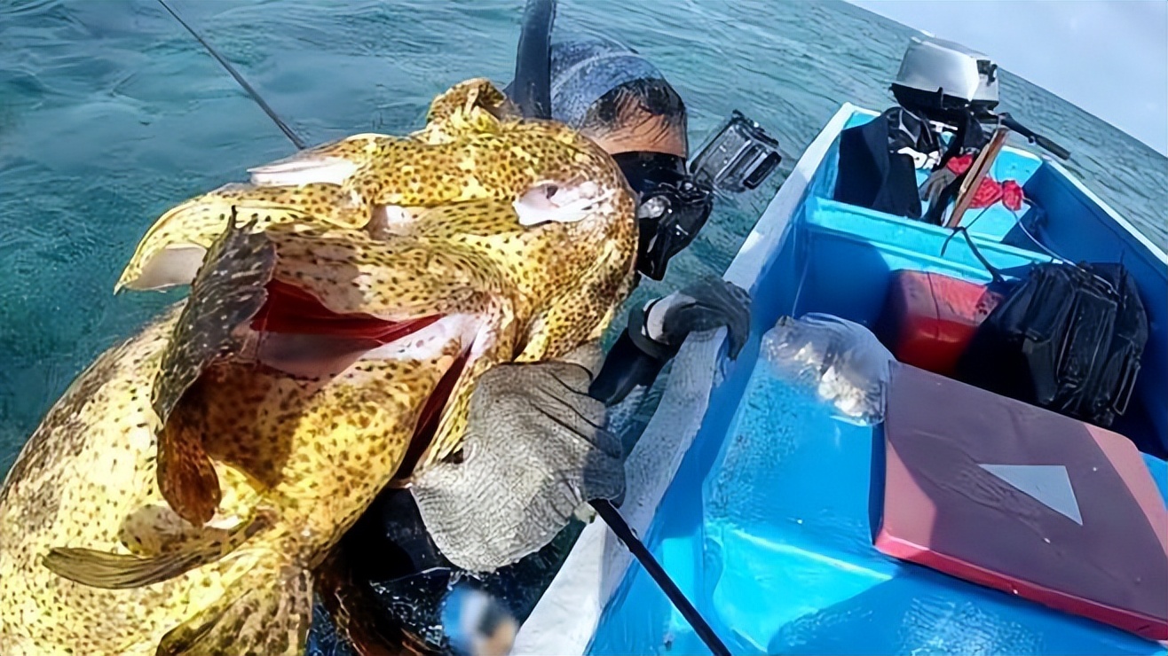 In order to catch the delicious grouper, fishermen set up traps on the ...