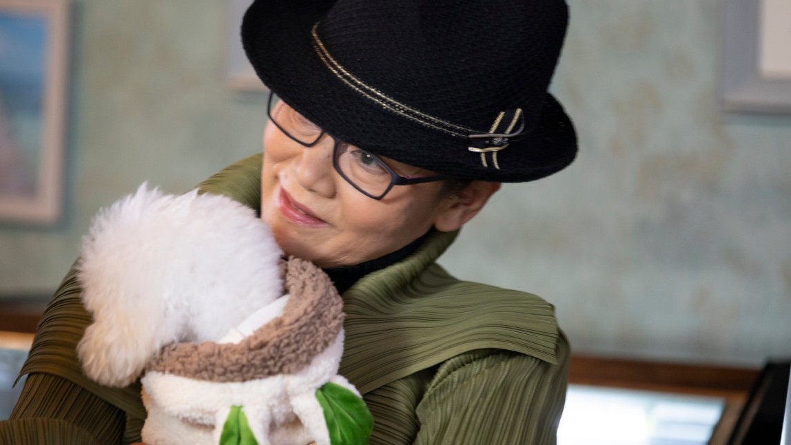 The urban drama "She and Her Archipelago" will be filmed, Pan Hong is ...