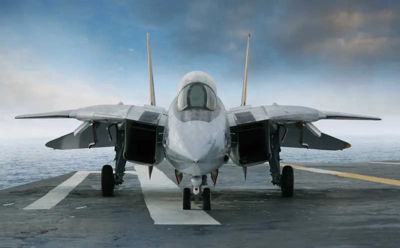 Grumman F-14 "Panda" variable-sweep wing carrier-based defense fighter ...