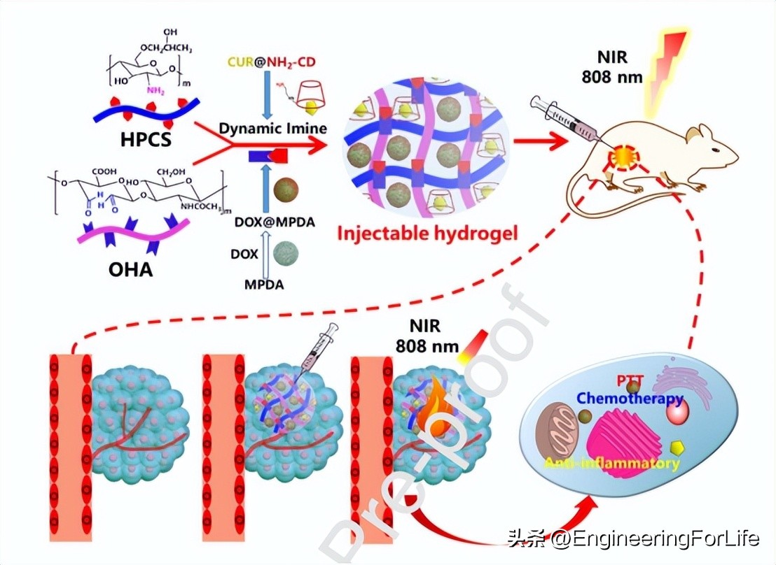 Injectable nanocomposite hydrogel alleviates inflammation while ...