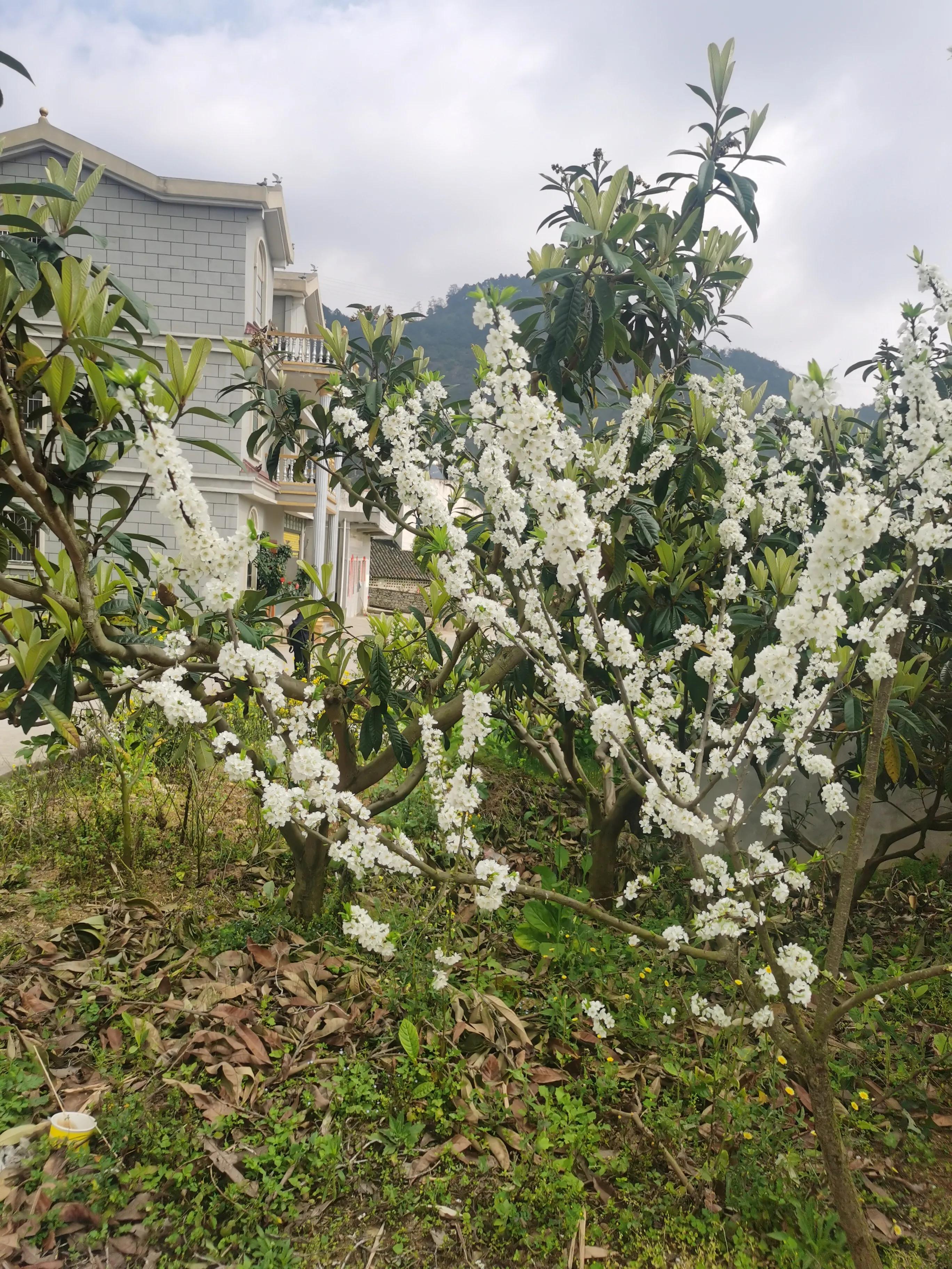 Man Ting Fang • Xia Ling Feng Qing - iNEWS