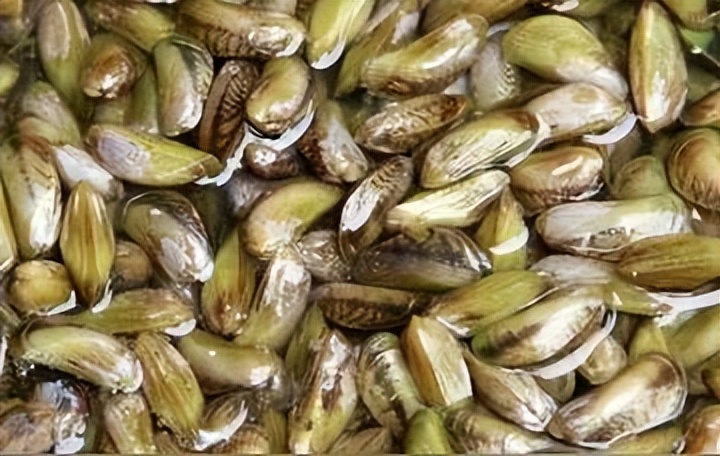 The special little ones look like melon seeds. They are especially ...