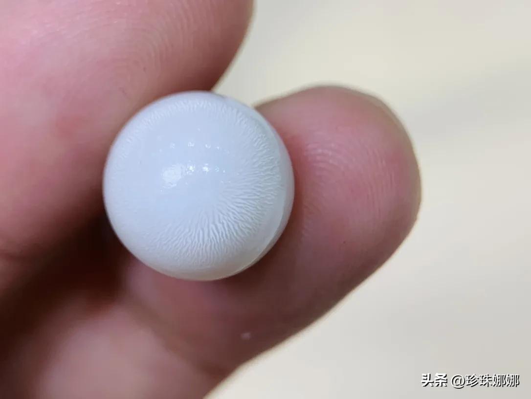 11ct conch beads - iNEWS