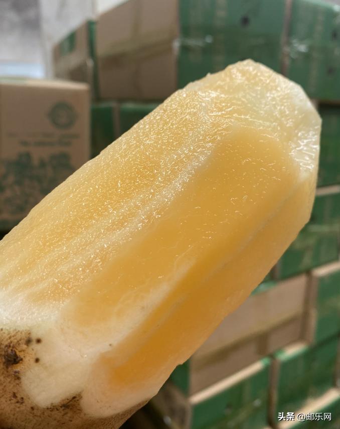 The efficacy and role of yacon, how to eat the most nutritious yacon ...