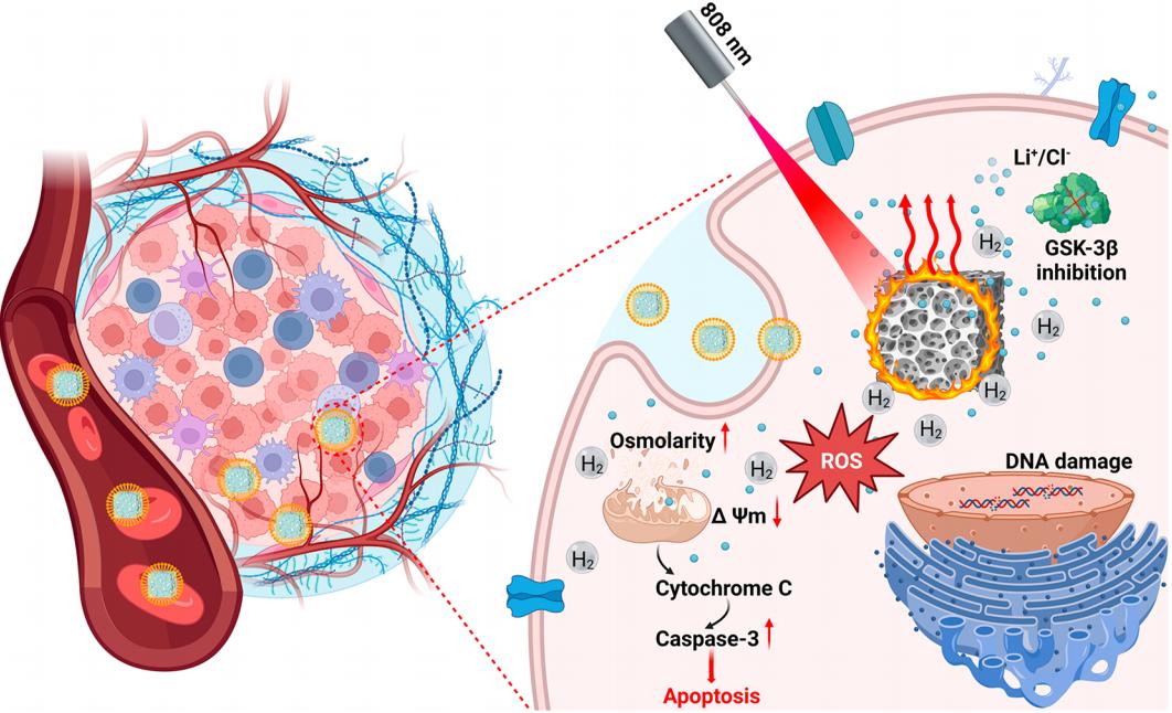 Nano Letters from the team of Academician Zhang Hongjie of the Chinese ...