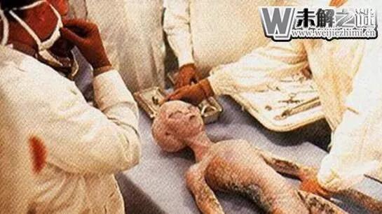 Alien guest-the remains of aliens - iNEWS