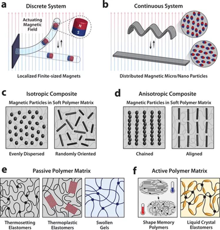 "Chem. Rev." MIT Zhao Xuanhe Review: Magnetic Soft Materials and Robots ...