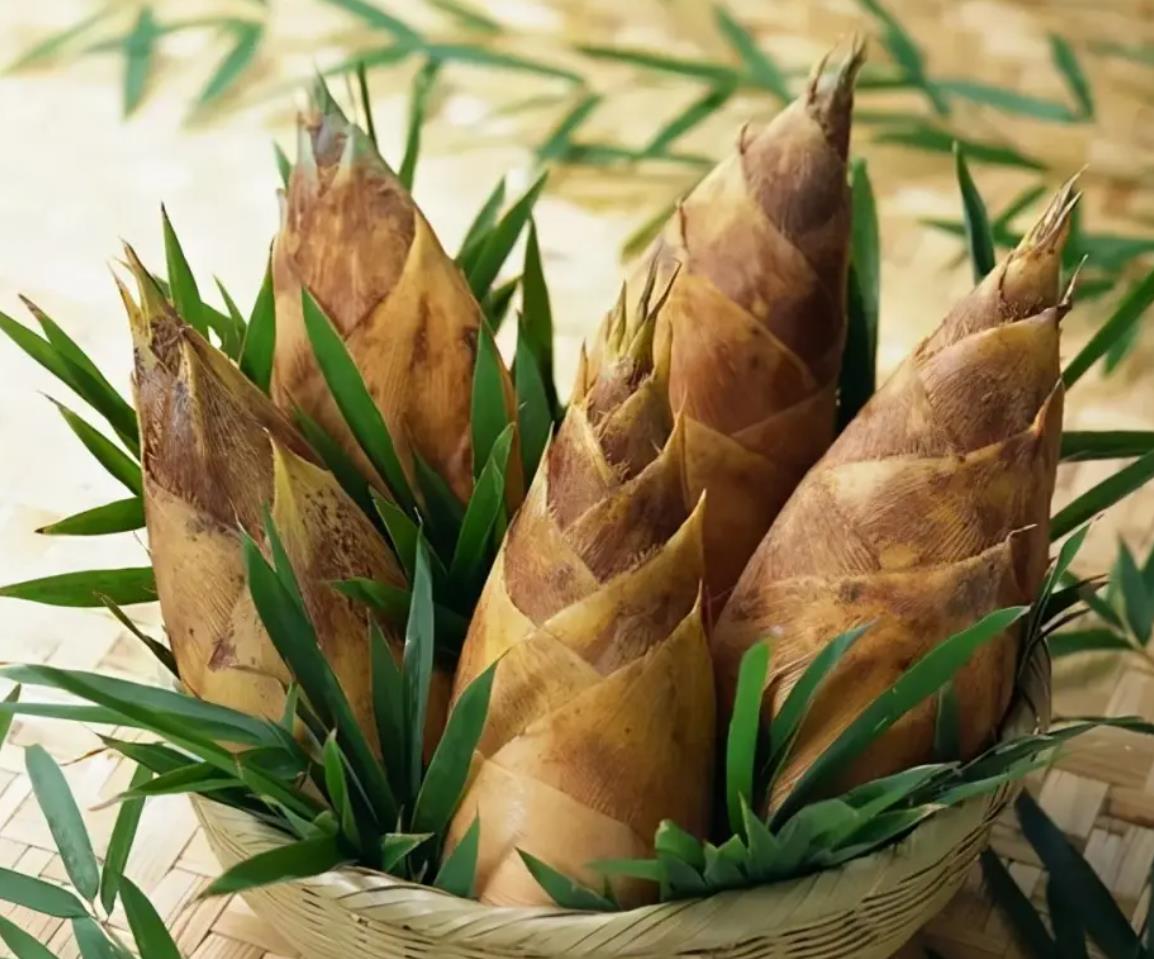 spring on the tongue - iNEWS