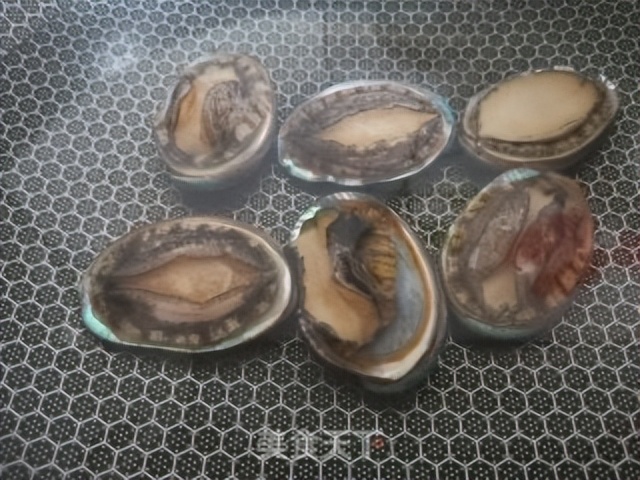 Fish and Mix Baby Abalone - iNEWS
