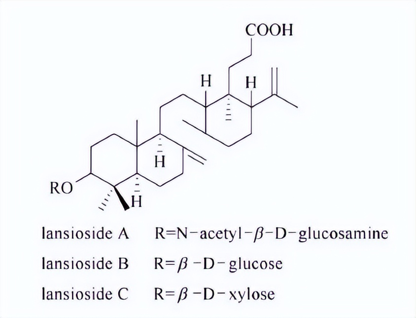Plant functional components-triterpenes and their glycosides - iMedia