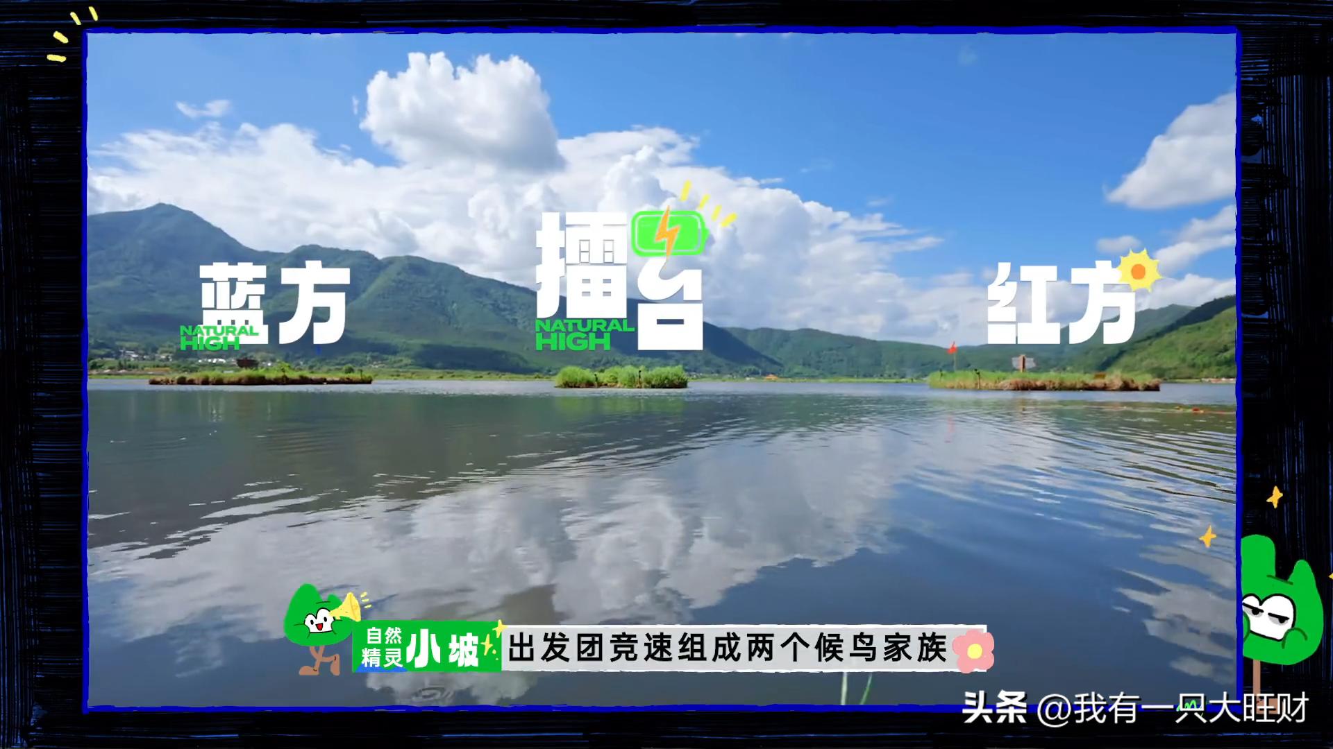 "Let's Go Now" Jia Bing showed off his culinary skills, Shen Teng ...