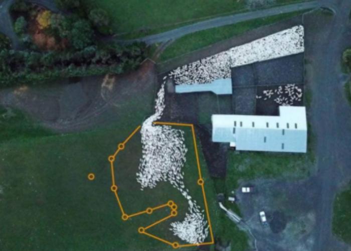 Why do some people think the ancient military formations are fake?Is it ...