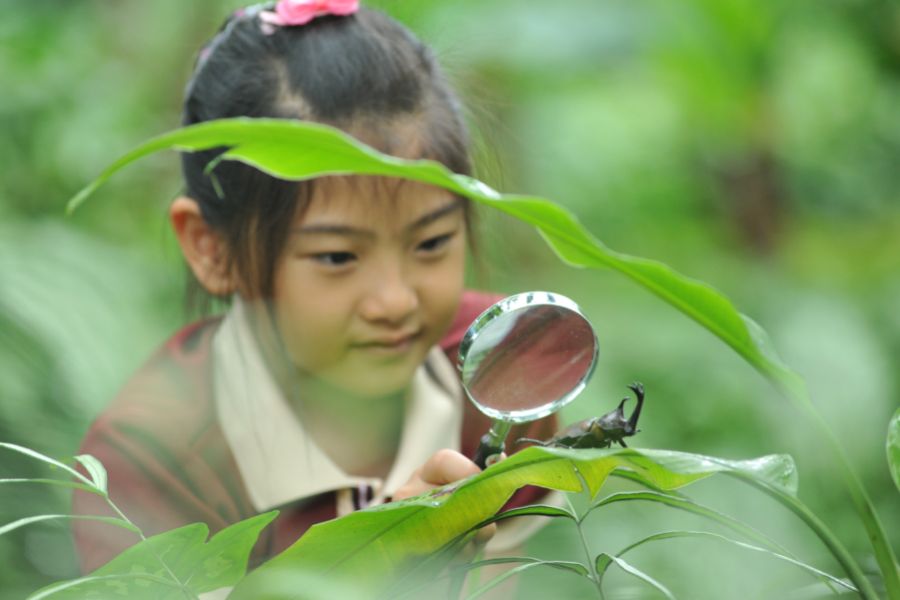 Jidenburg shares 6 leaf-themed parent-child games for parents, which ...