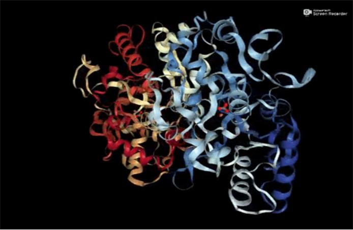 Angel Newt launches lactoferrin science to build the future of immune ...
