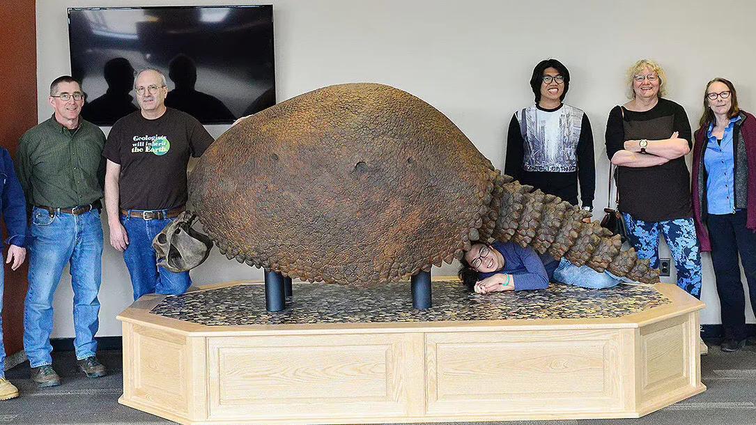 Prehistoric tanks", their predecessors in this world〗 - iMedia