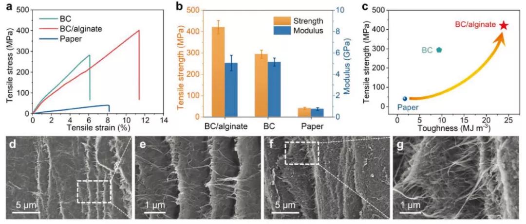 Subvert paper straws!Edible bacterial cellulose straws that are 14 ...