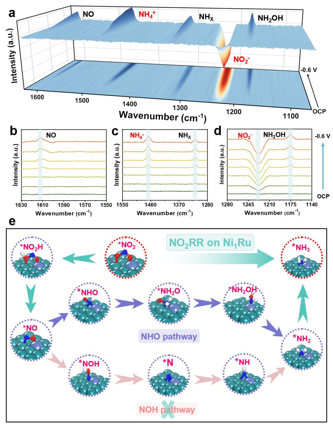 AFM: Ni1Ru single-atom alloy for electrocatalytic reduction of nitrite ...