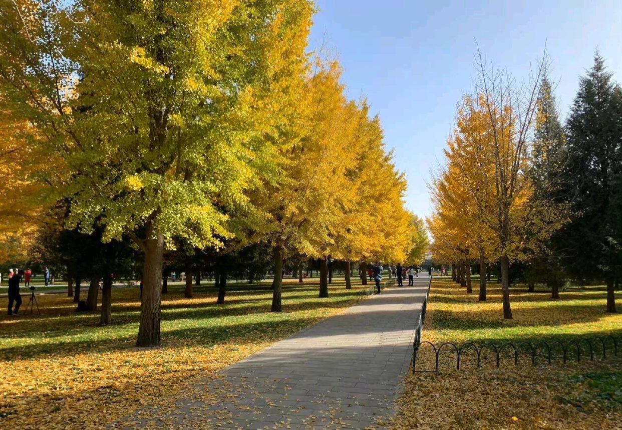 9 beautiful poems about autumn, poetic and picturesque, love the ...