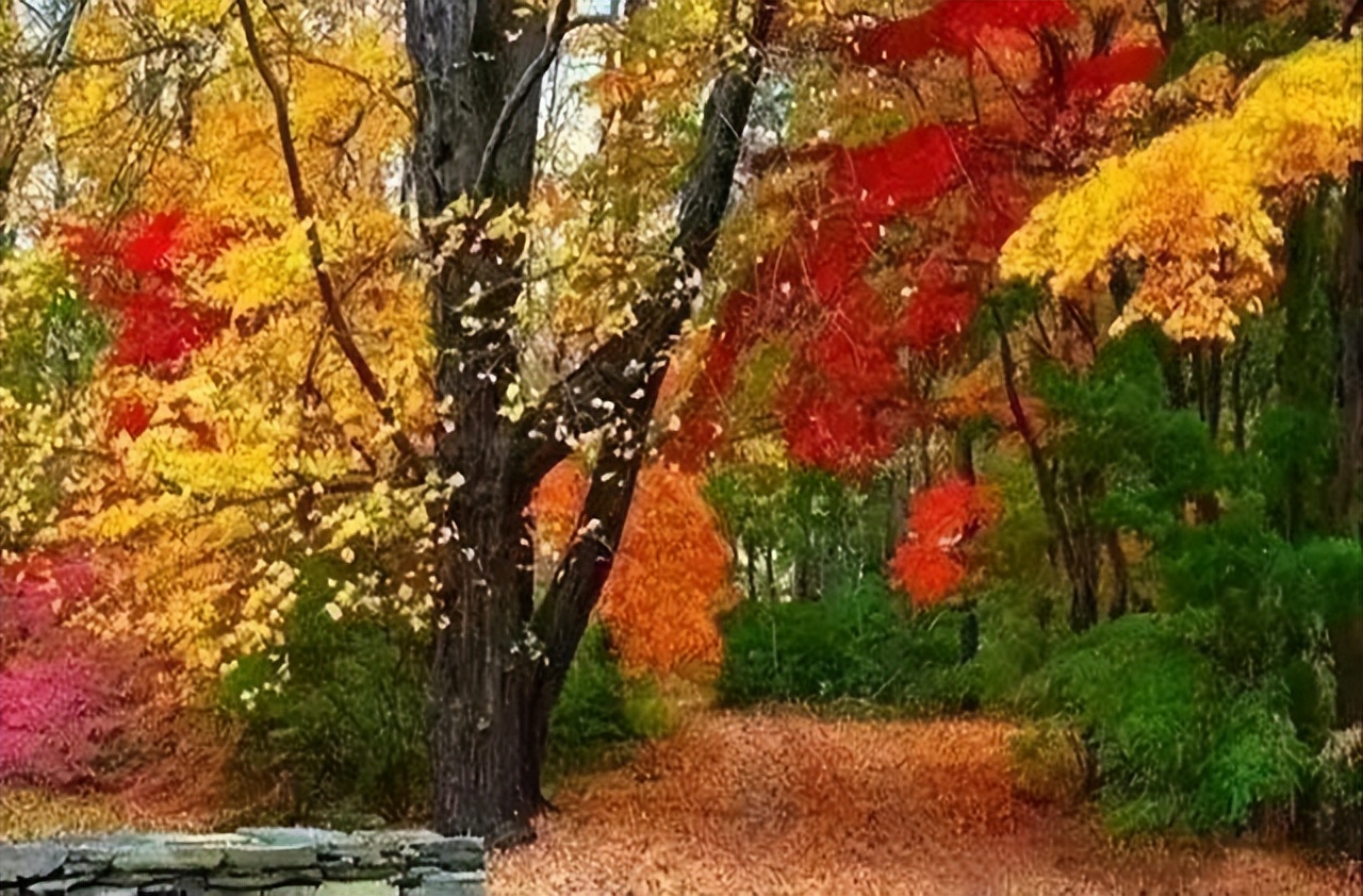 "Autumn Rhythm in the Mountains" and Poems (eight) - iNEWS