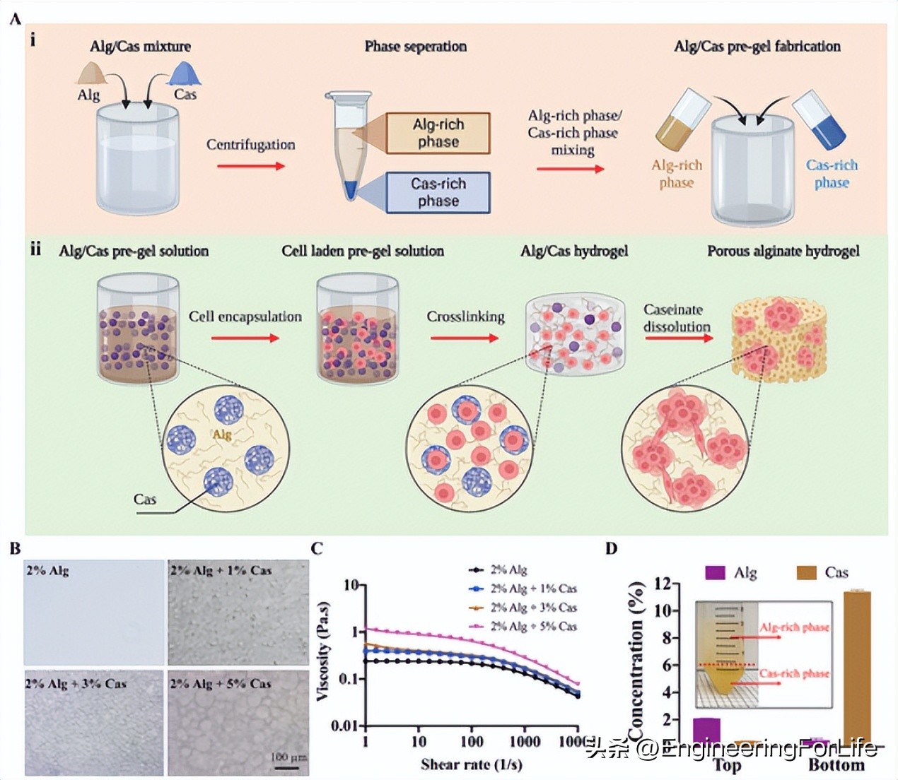 Latest AFM: porous alginate hydrogel - iNEWS