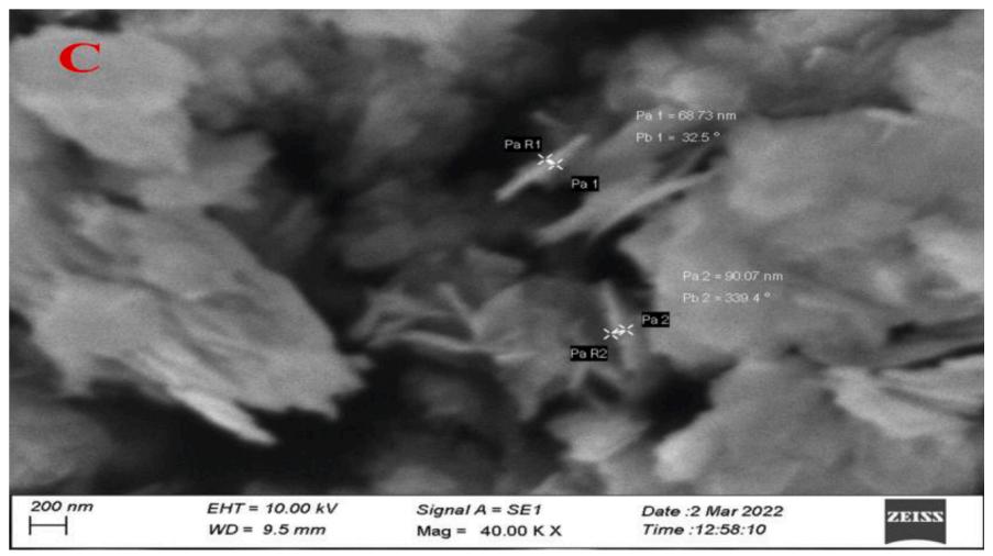 Synthesis and Structure Analysis of Metal Nanoparticles Prepared by ...