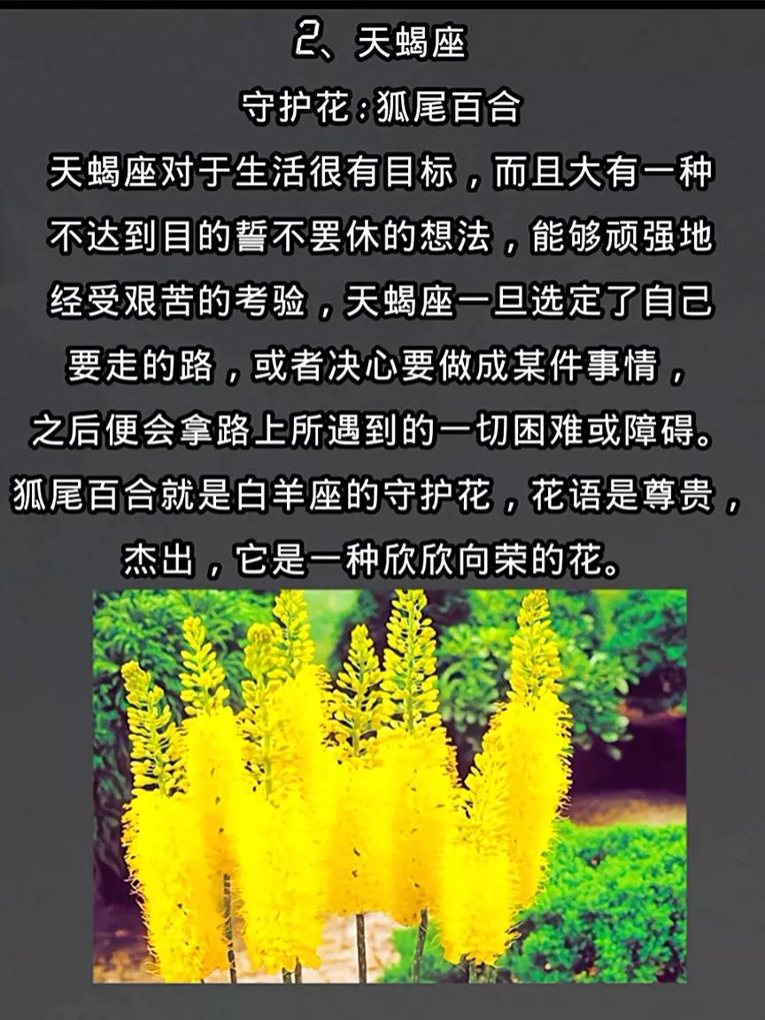 What is the guardian flower of the twelve constellations? - iNEWS