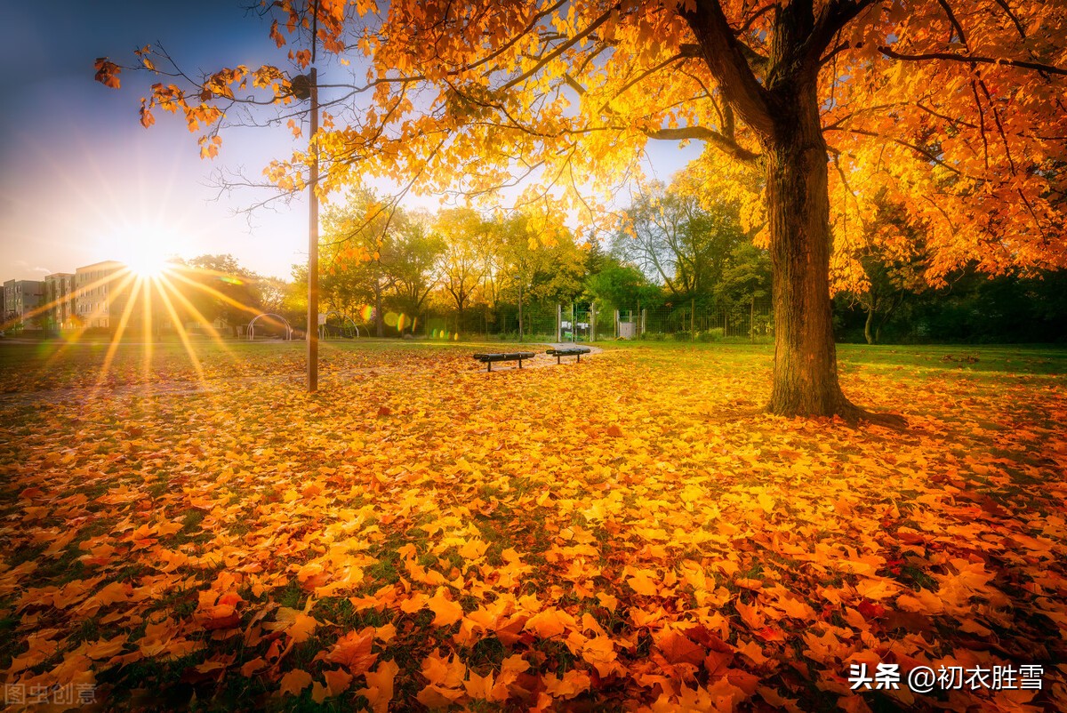 There are six ancient poems in the bright and magnificent autumn colors ...