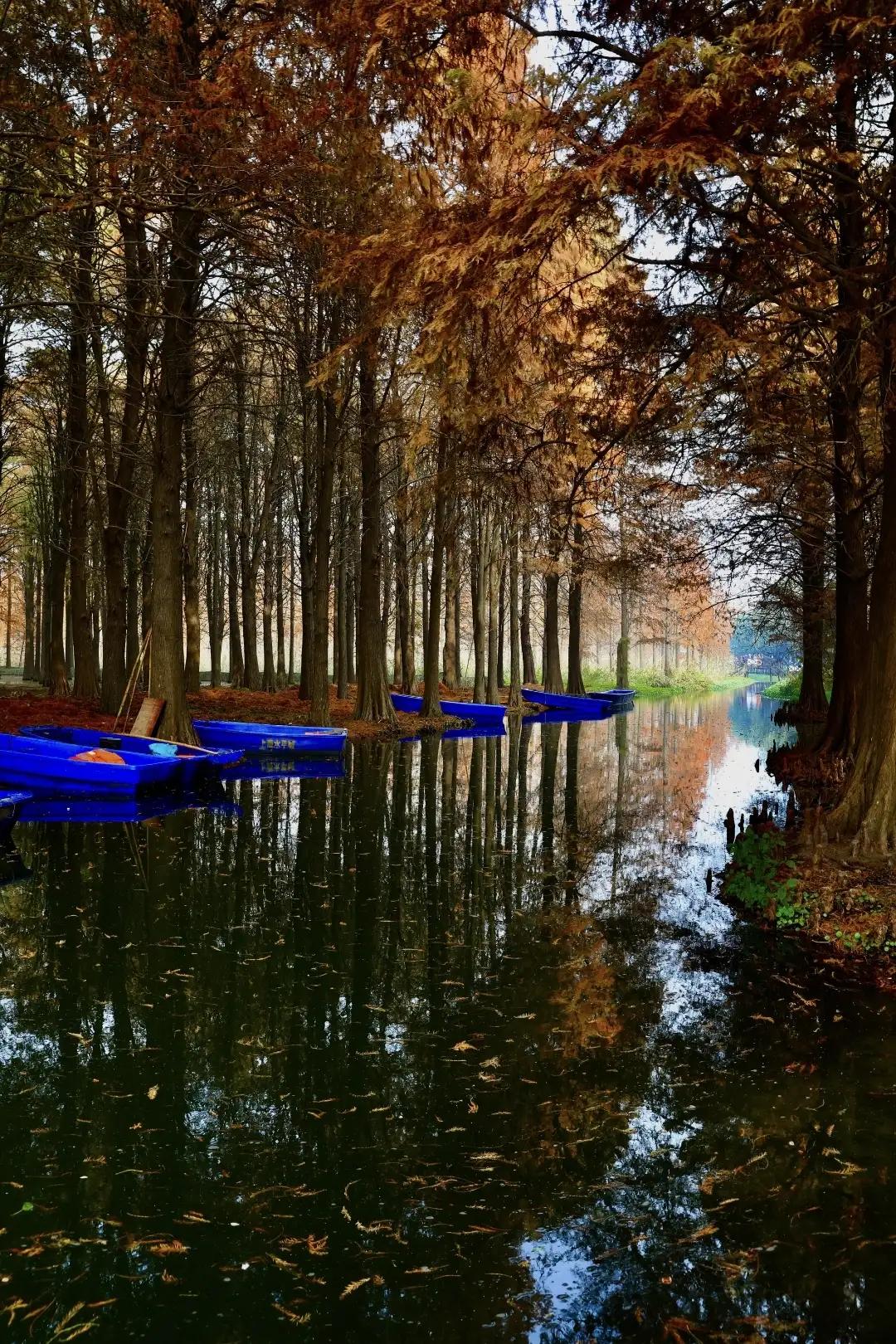 Qingxi Country Park is a fairy tale world in autumn - iMedia