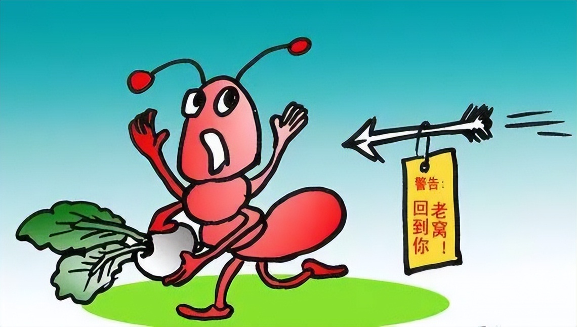 Red fire ants: the most terrifying invasive species on the surface, do ...