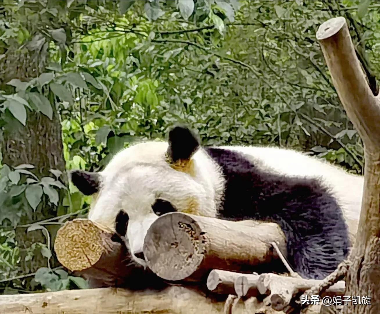 People have thousands of faces and hearts have thousands of changes - iNEWS