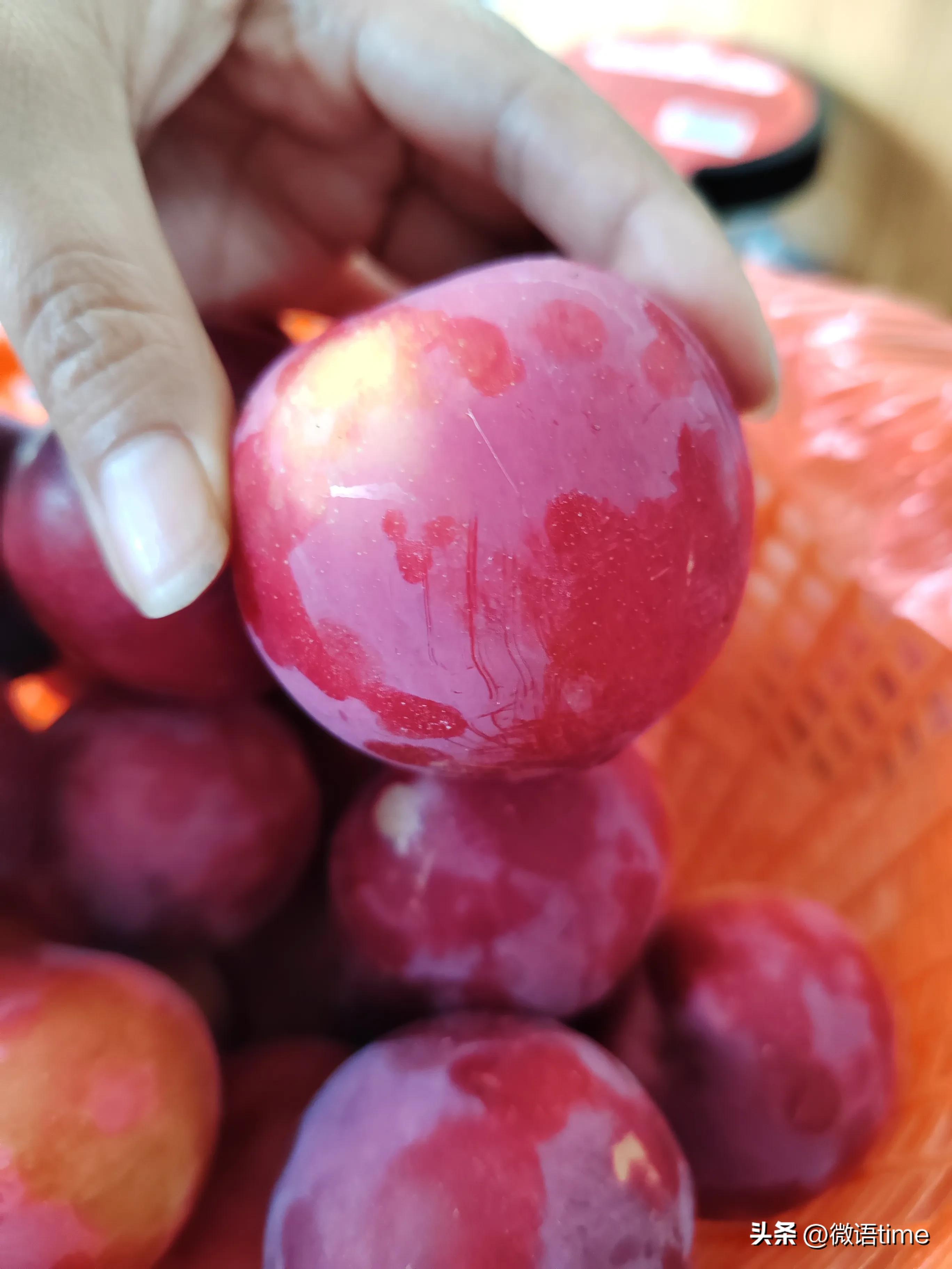 Don't Worry About Summer Fruits—Wuxi Milky Red Drunken Plum - iNEWS