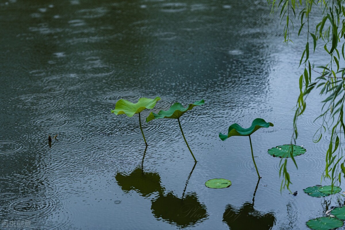 "Dream of Jiangnan" - Meizi Huang Shiyu, Misty Rain Jiangnan - iNEWS