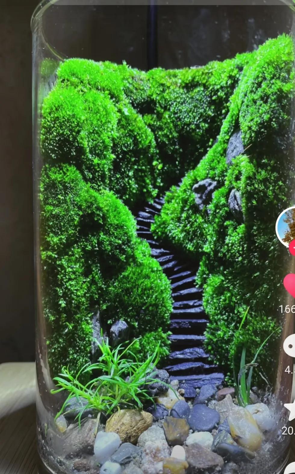 Create beautiful scenery under skillful hands - iMedia