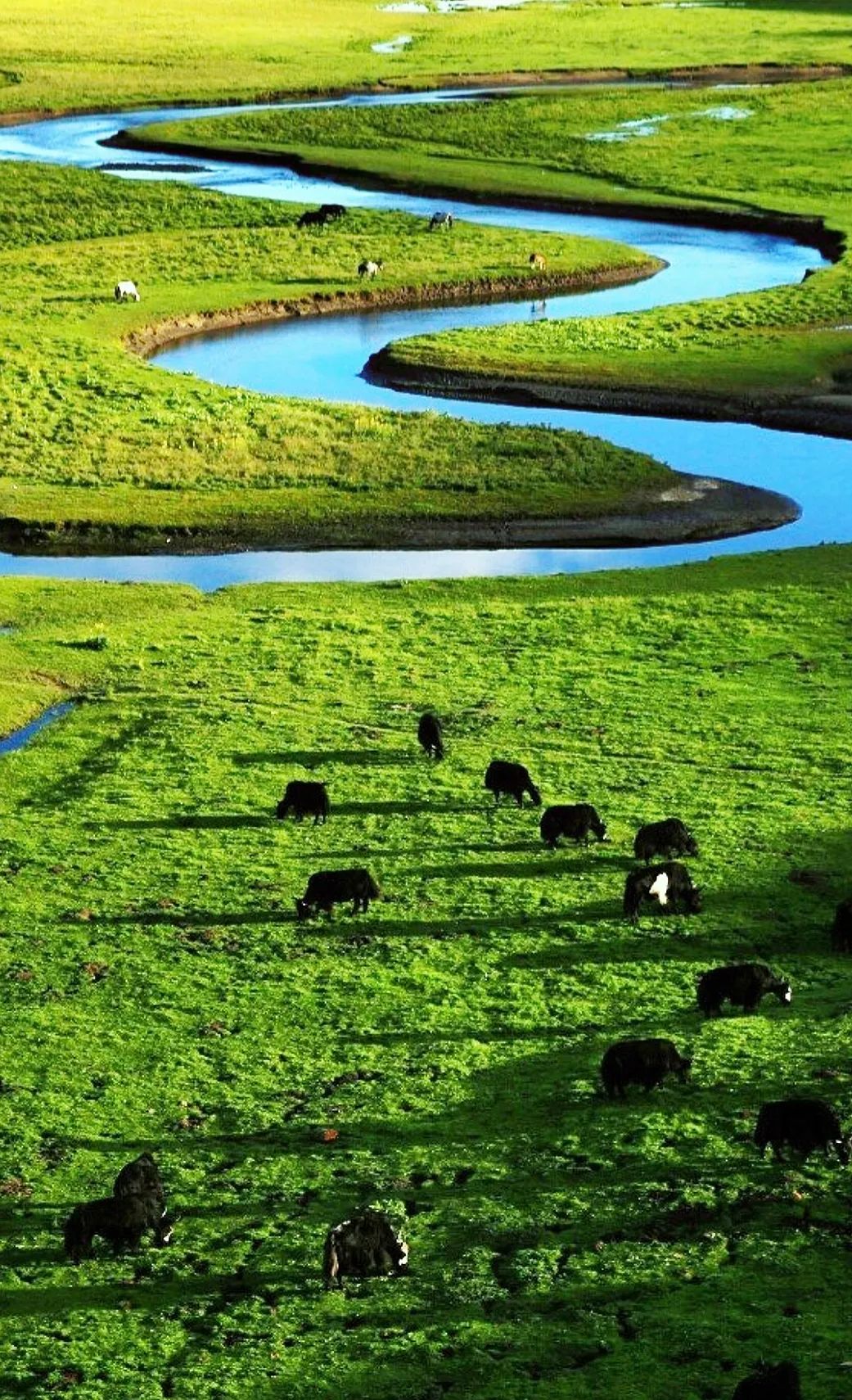 I fell in love with Aba Prefecture at first sight. - iNEWS