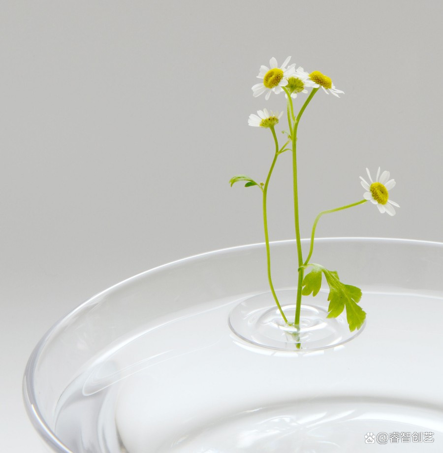 The creative "water pattern floating flower device", a flower is ...