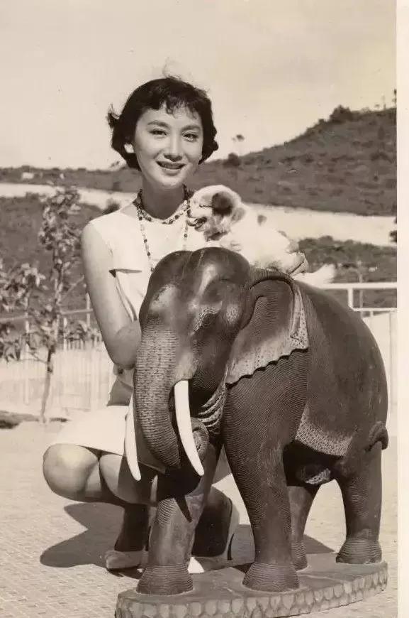 Liang Boluo and Xia Meng almost became "couples" - iNEWS