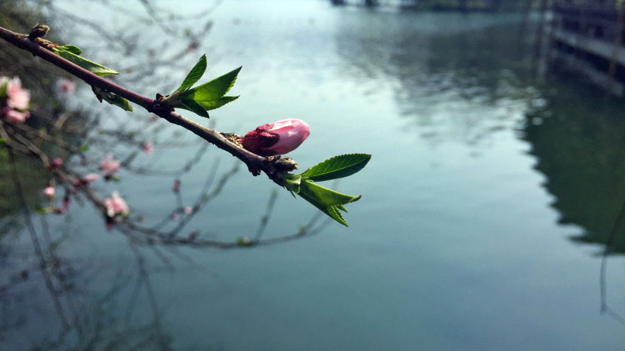 Ten spring poems, neither cold nor warm and rainy, the city is full of ...