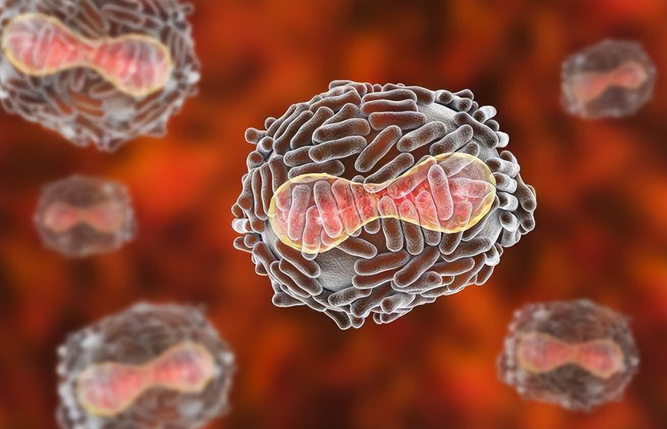 All things on earth are mutually reinforcing, why haven't you heard of ...