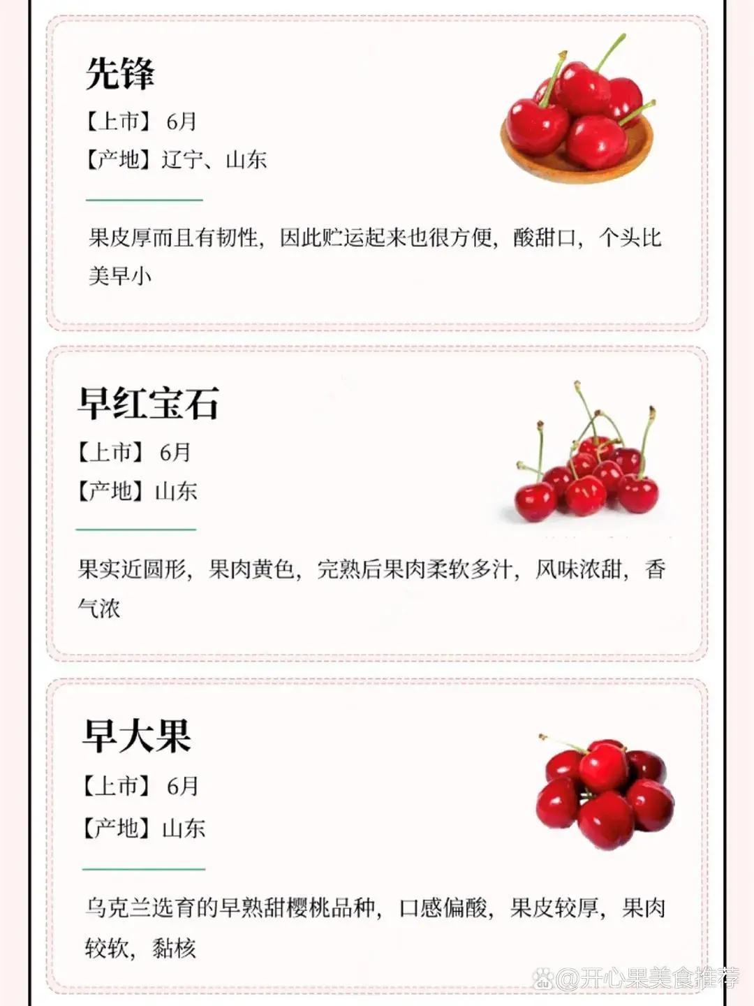 Common cherry types/characteristics/names - iNEWS
