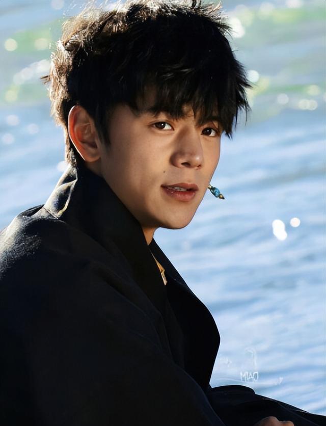 Less than 2 years after becoming famous, Ding Zhen's mainstream path ...