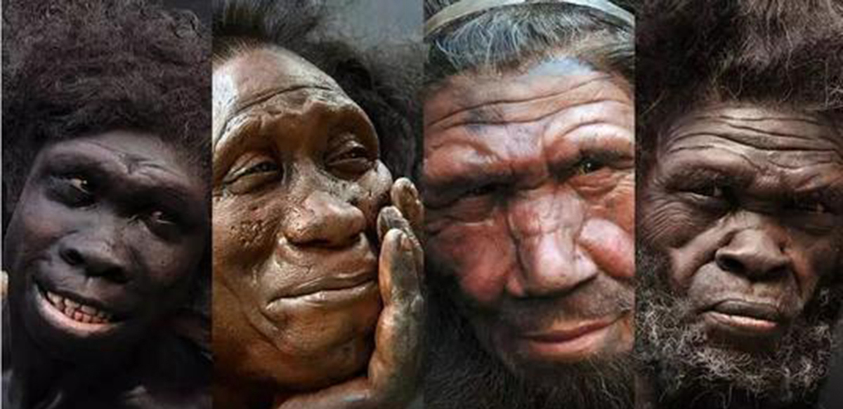 Why are women smaller and weaker than men? Science Uncovers the Mystery ...