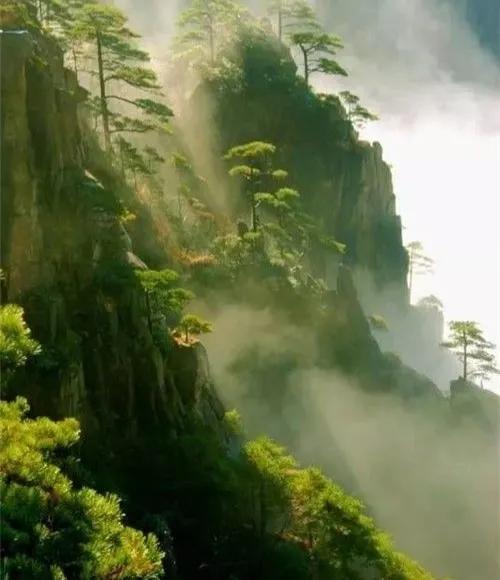 Follow the trend, achieve career - iNEWS