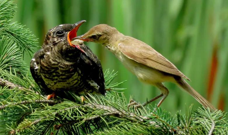 natural law - iNEWS