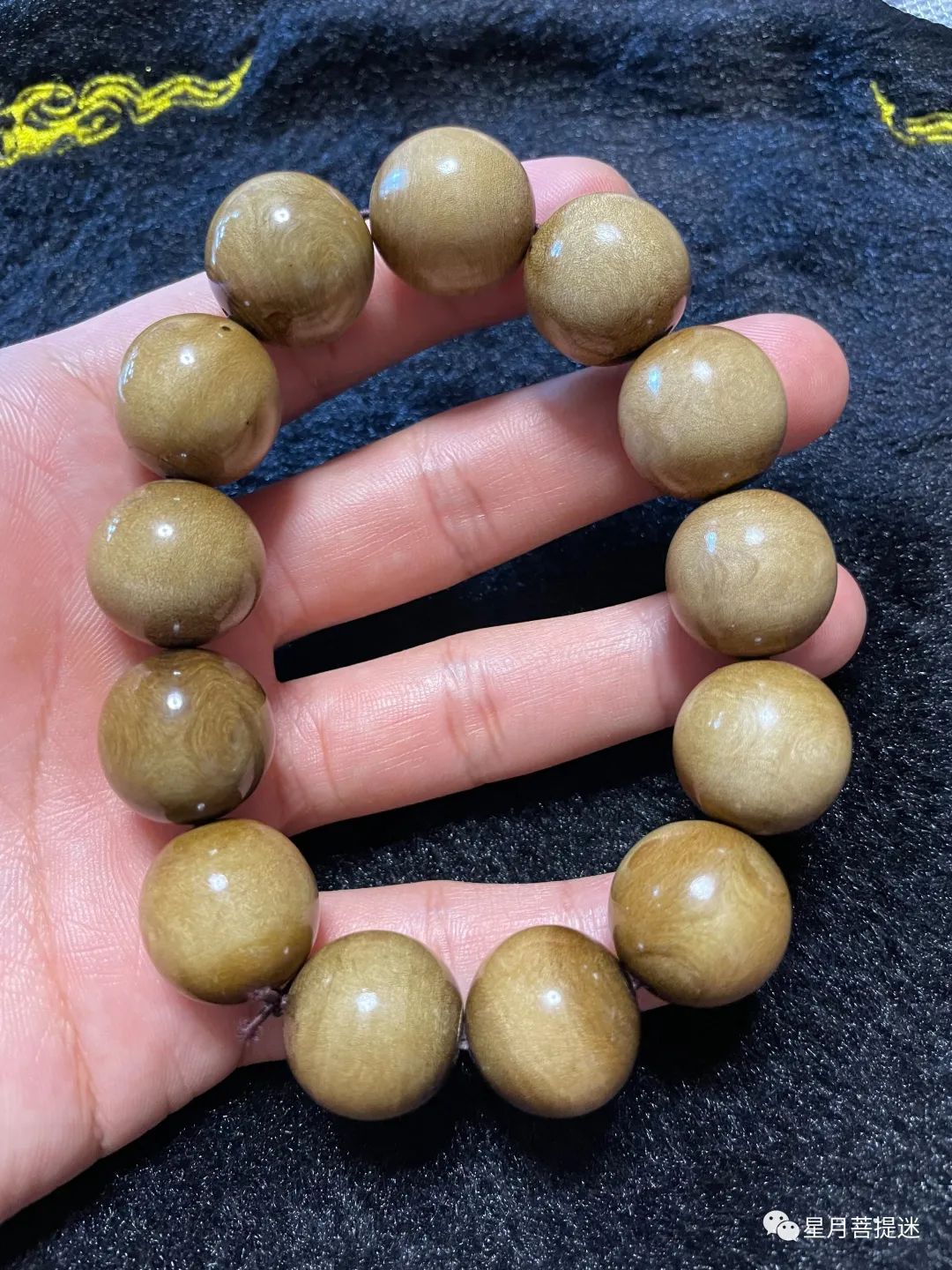 The most precious wood in the sea - sea willow - iNEWS