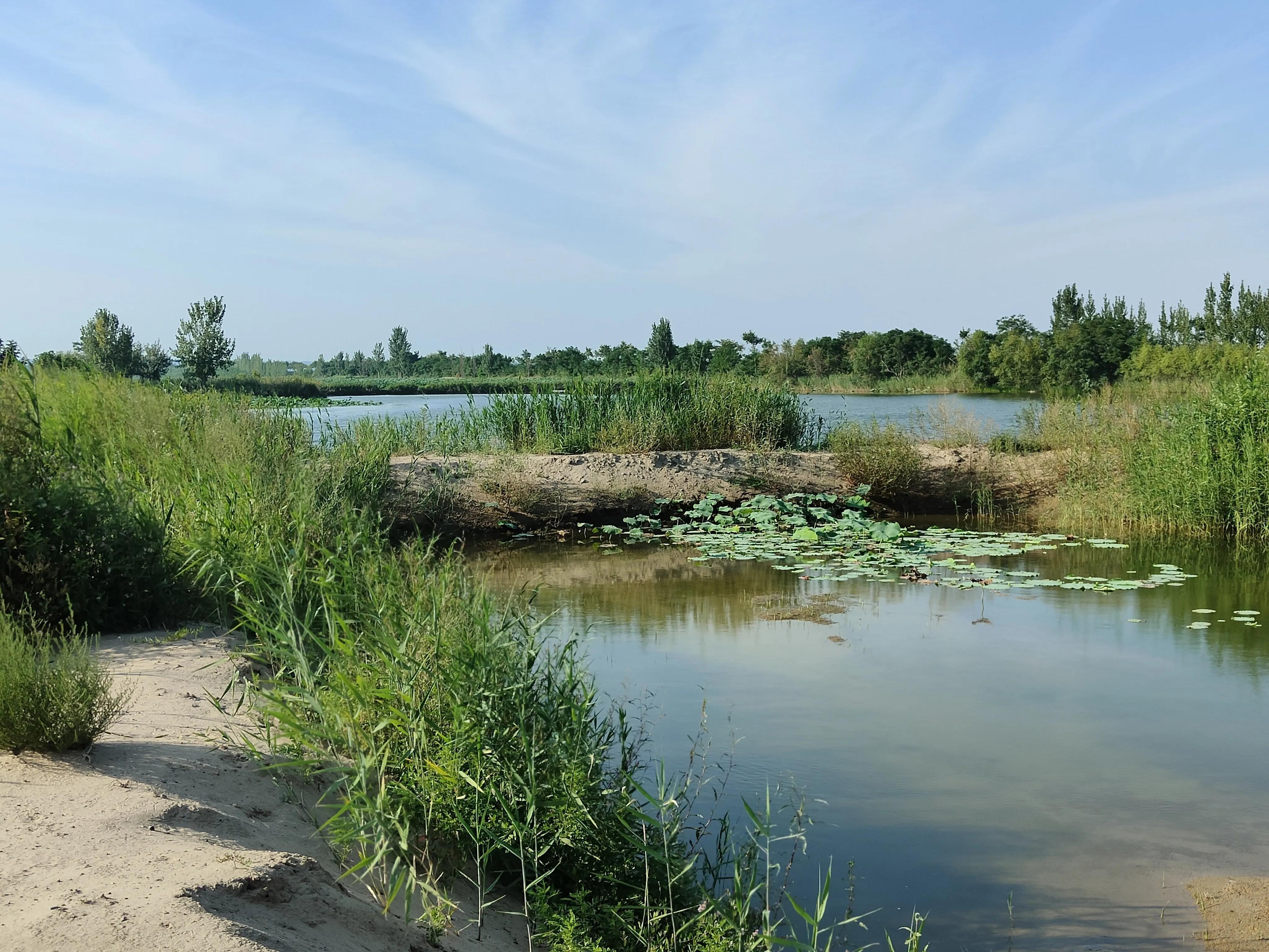 Feng Yiduo's Poems Collection "Culture on the Stars, Chinese Culture ...