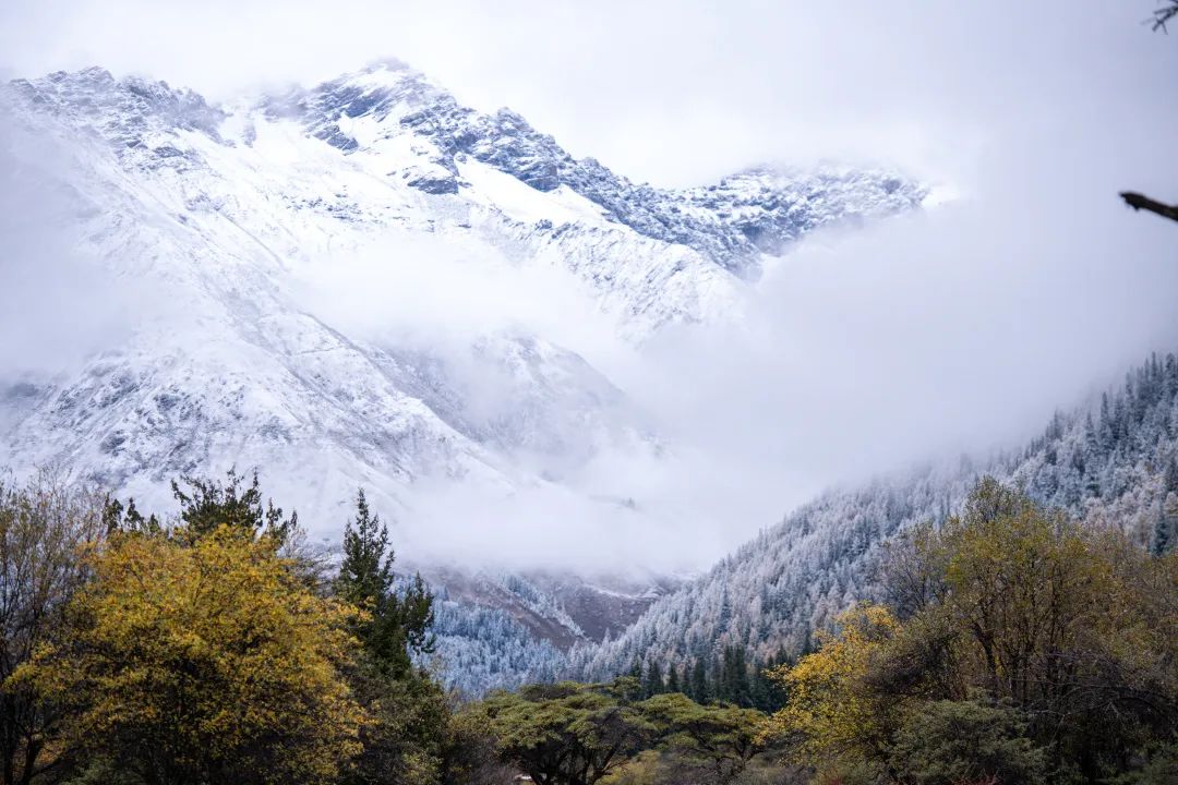 How beautiful is the autumn color of Siguniang Mountain that everyone ...