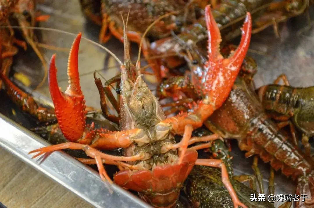 Hubei people are poisoned by crayfish!How fierce is "Shrimp"?Addicted ...