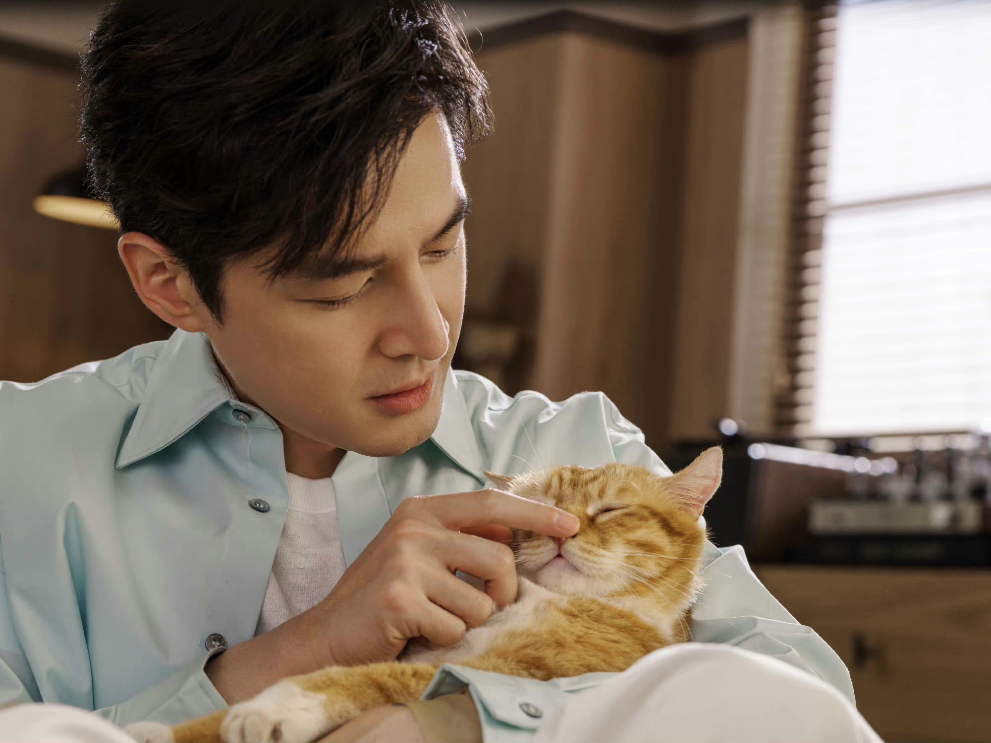 Male star cat slave attributes are full, Lu Han, Xiao Zhan, Hu Ge ...